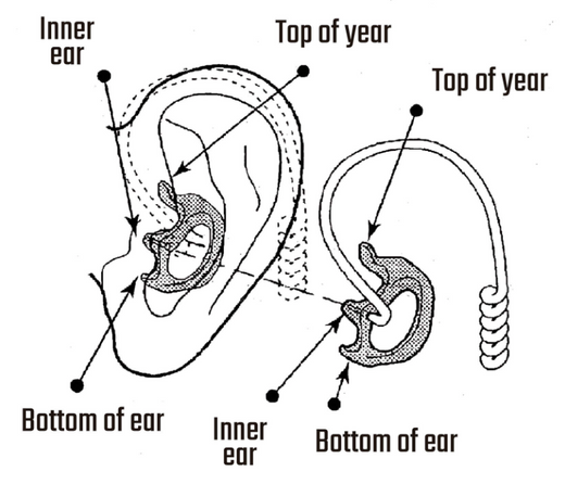 Flexible Open Ear Insert (Ear Mold) Insertion & Care – The Earphone Guy LLC