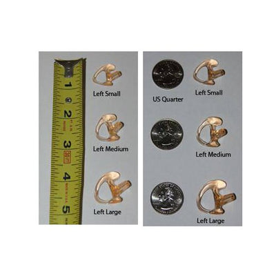 Ear Insert Options & Replacements | The Earphone Guy LLC